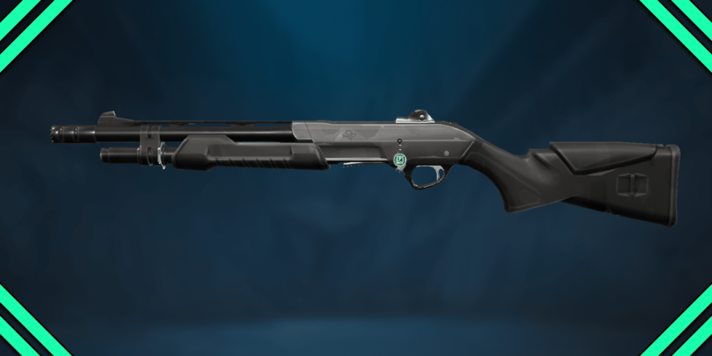 The Bucky: Valorant Weapon Guide