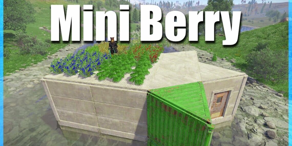sigbog: The Mini Berry - A Simple & Efficient Grow Base for Anyone in Rust